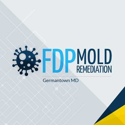Neal G.'s review of FDP Mold Remediation of Arlington