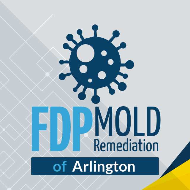 Neal G.'s review of FDP Mold Remediation of Arlington